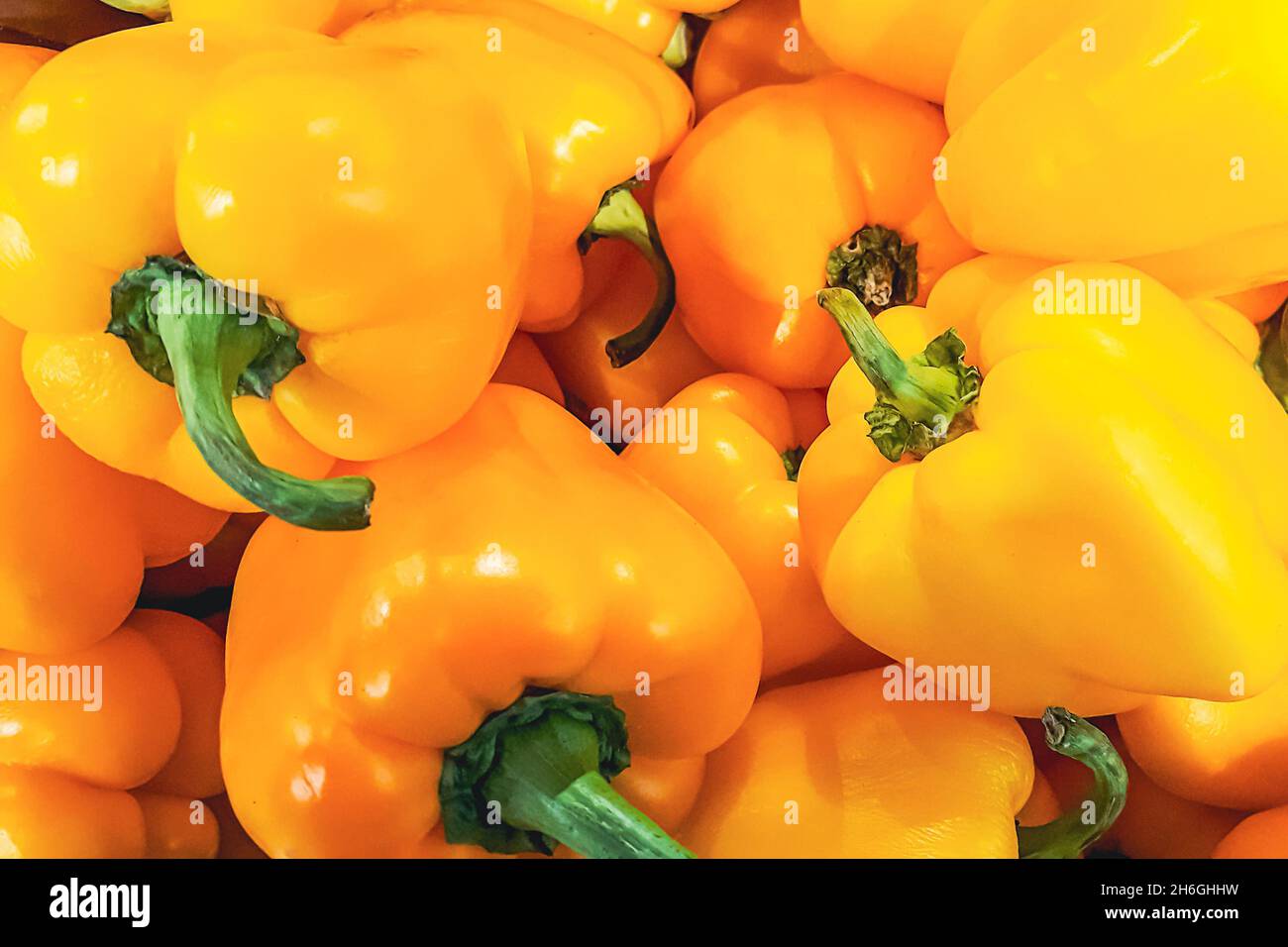 Ripe yellow bell pepper. Selling vegetables at the supermarket or ...