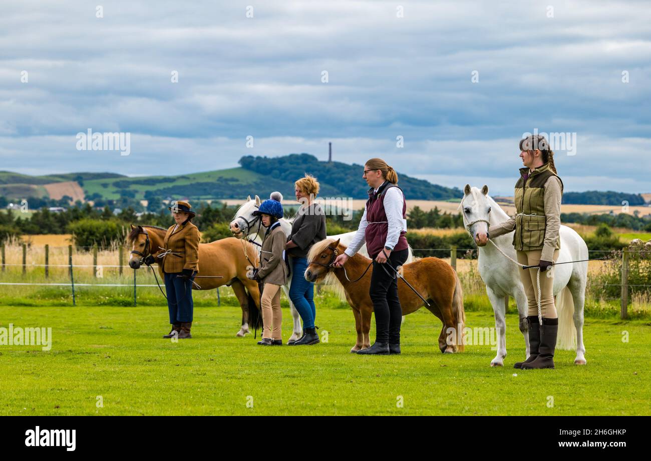 Summer horse show: competitors with miniature Shetland ponies and small ...