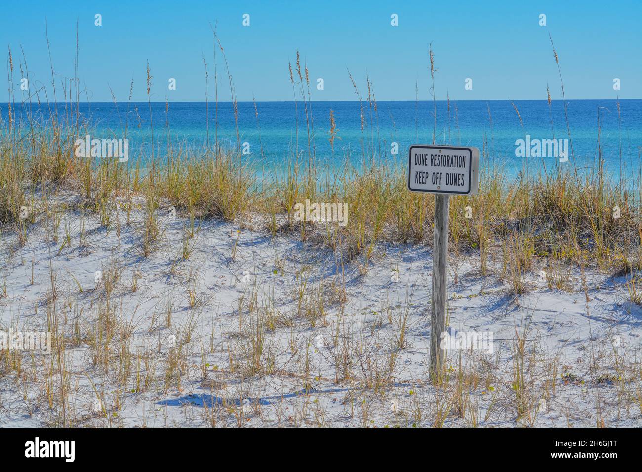 Dunes Restoration, Keep off Dunes Sign on the beach of Gulf of Mexico ...