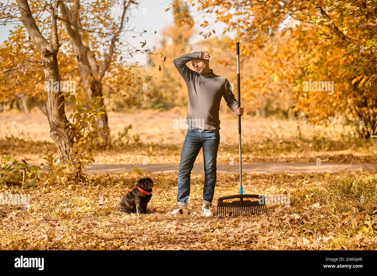 Lead rake hi-res stock photography and images - Alamy