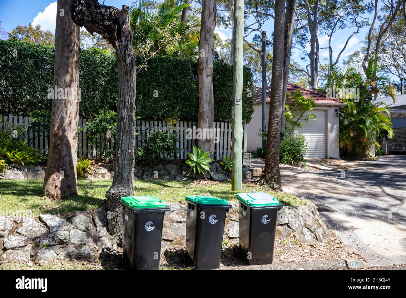 Green waste vegetation wheelie bins in Sydney awaiting council ...