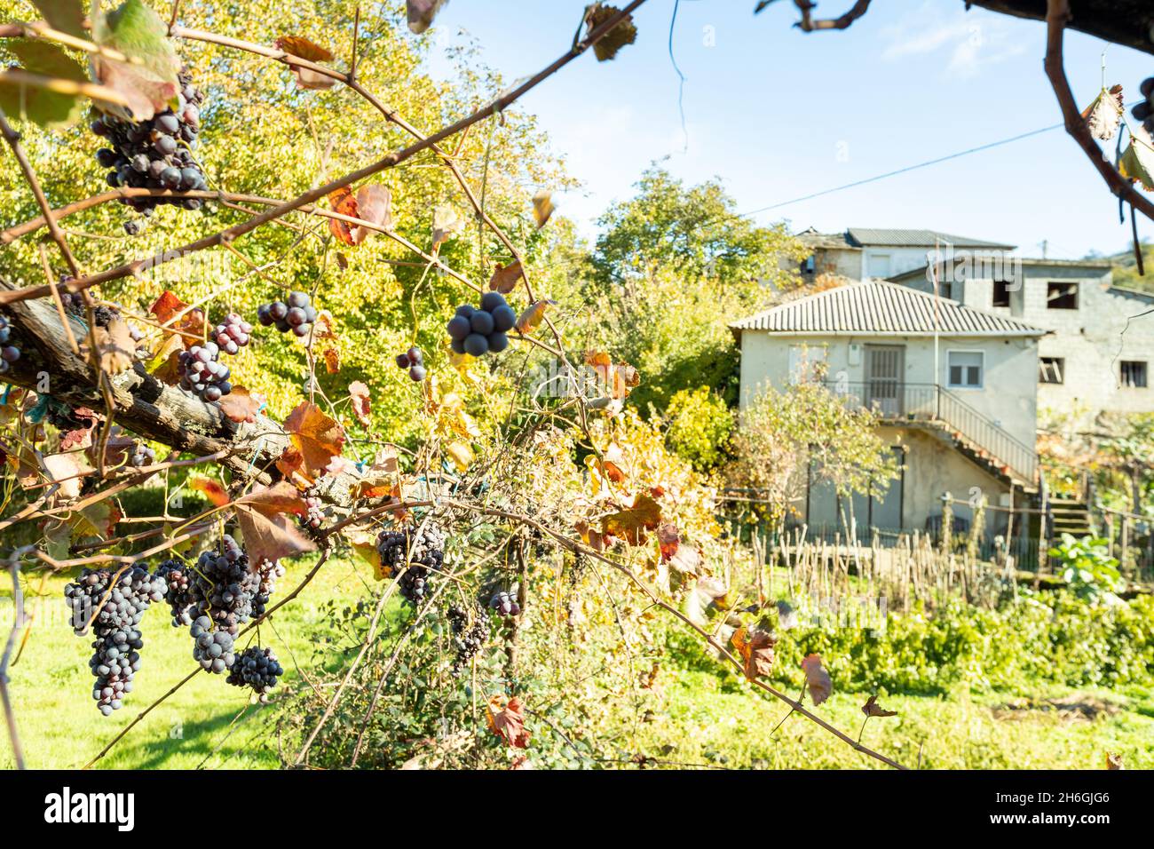 Castañar de Hermisende, Zamora Stock Photo - Alamy