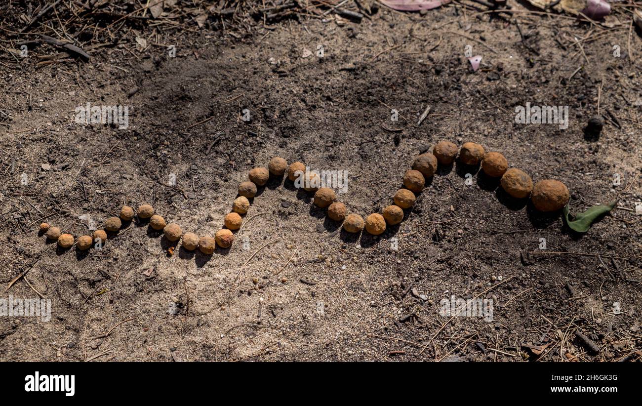Rock Art by Sean Wise (the photographer Stock Photo - Alamy