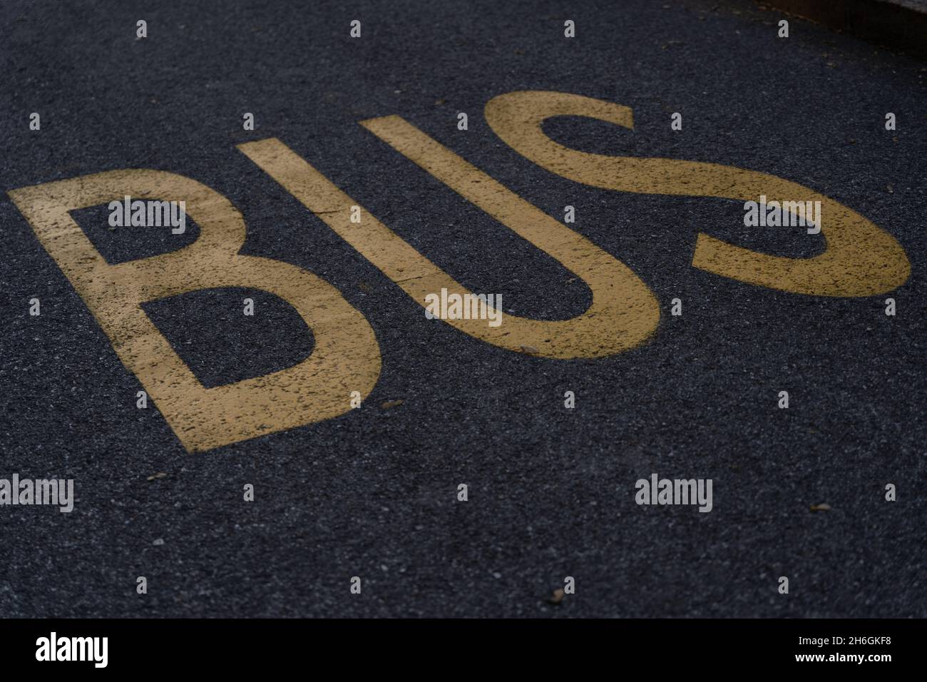 Word bus on the asphalt in the bus stop Stock Photo - Alamy