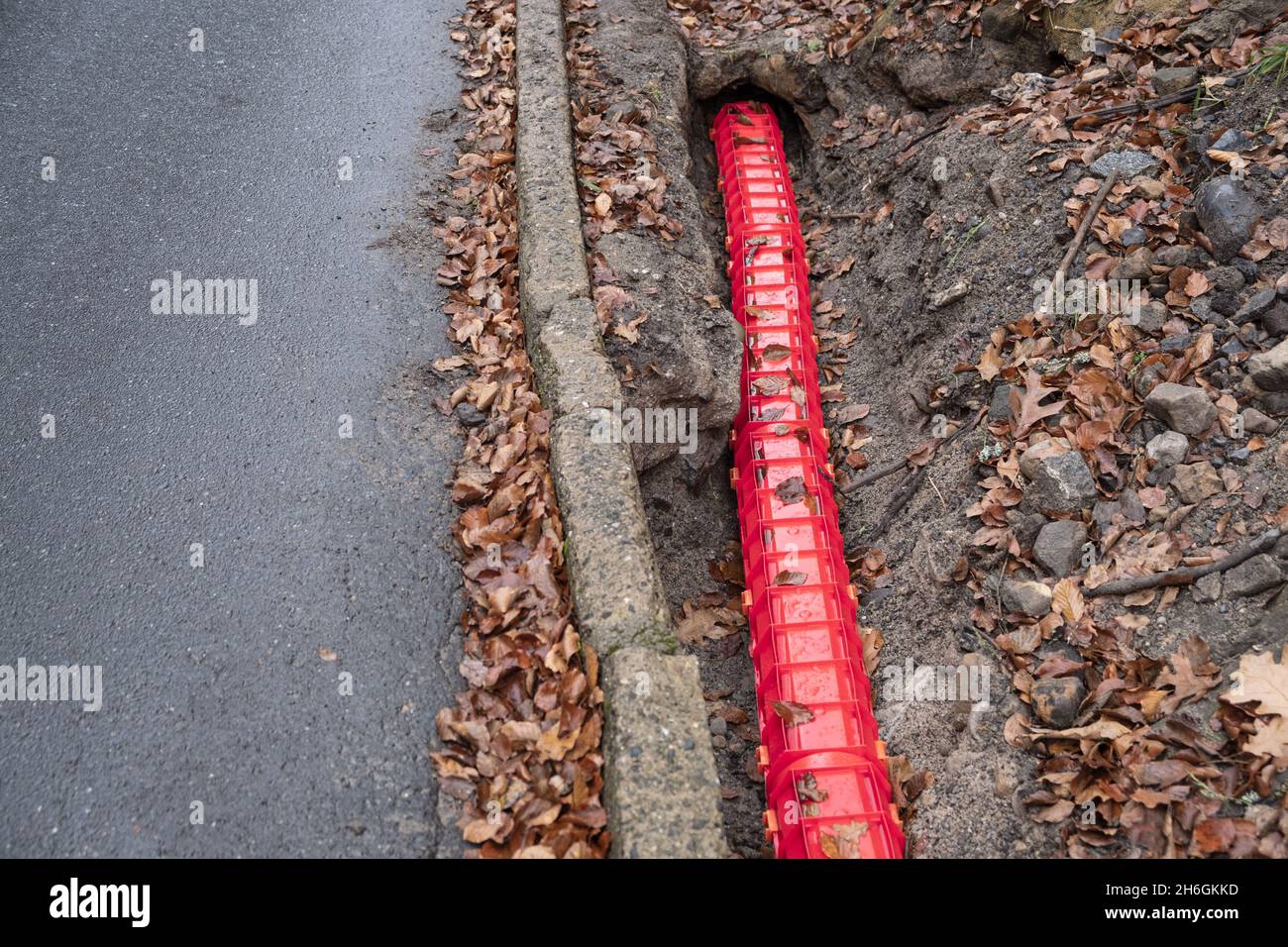 Communication Cables covered by red plastic flexible tube, Network ...