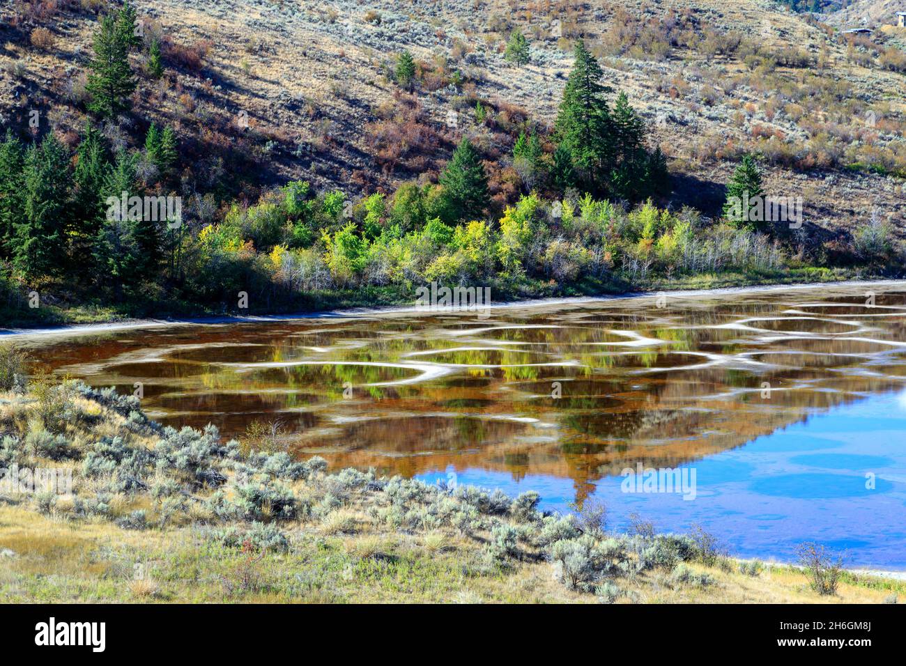 Spotted lake canada hi-res stock photography and images - Alamy