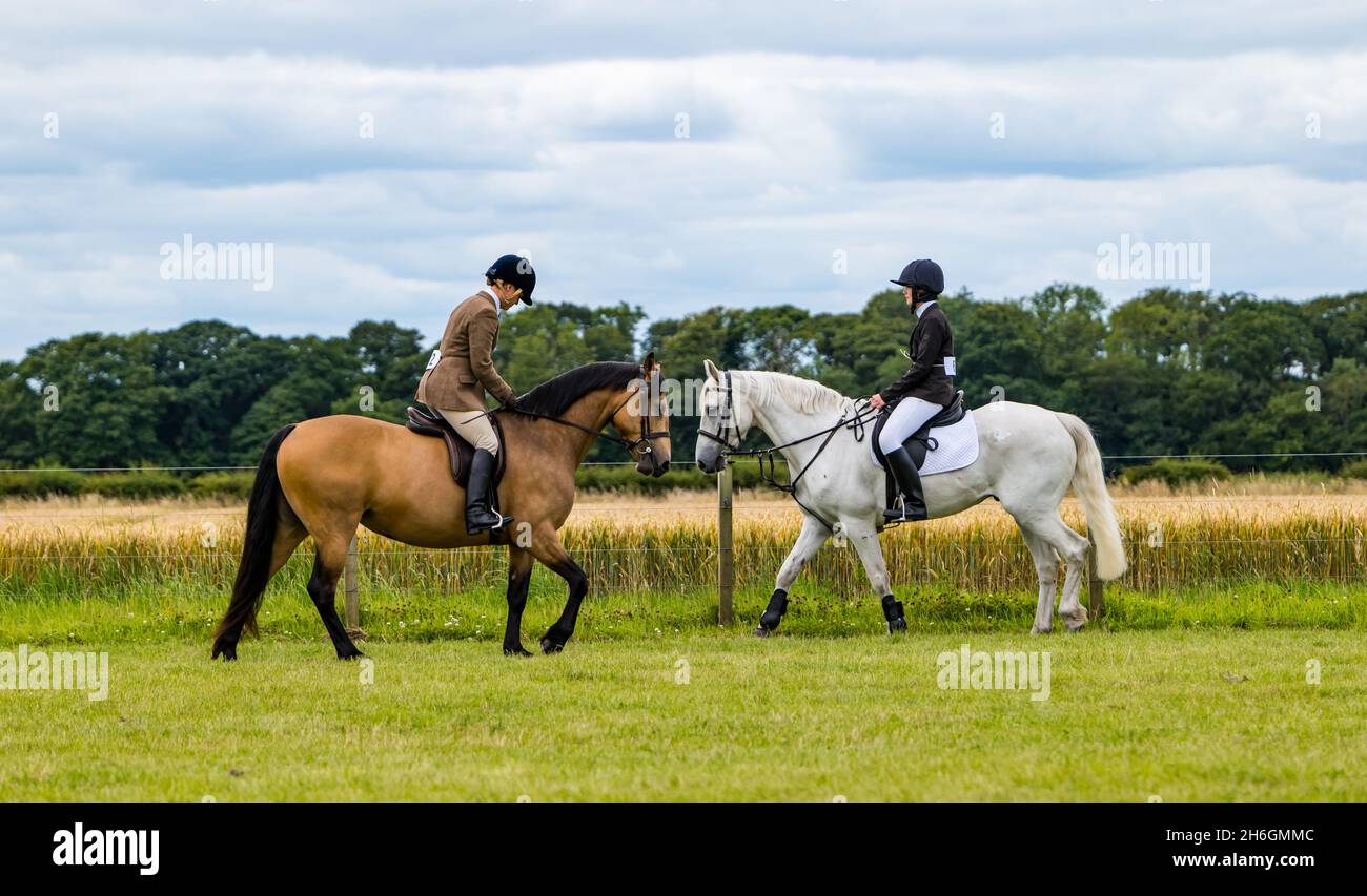 Riding field hi-res stock photography and images - Alamy