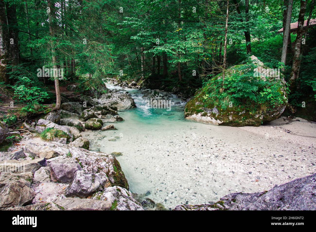 Beautiful view of water river in forest Ramsau Berchtesgaden Bavaria ...