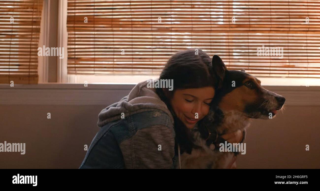 PUPS ALONE, Isadora Swann, 2021. © Paramount Pictures /Courtesy Everett ...