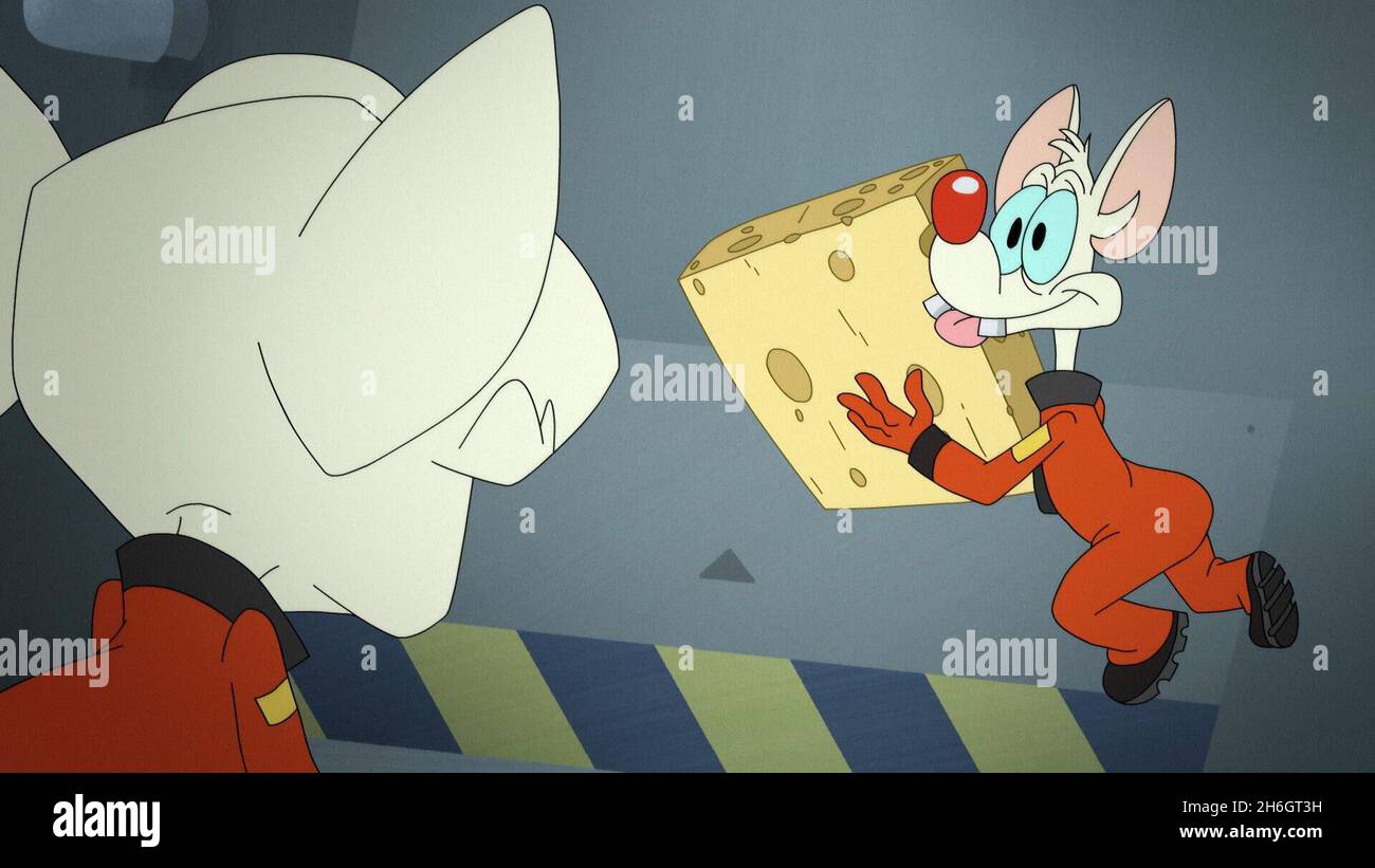 Animaniacs Pinky And The Brain