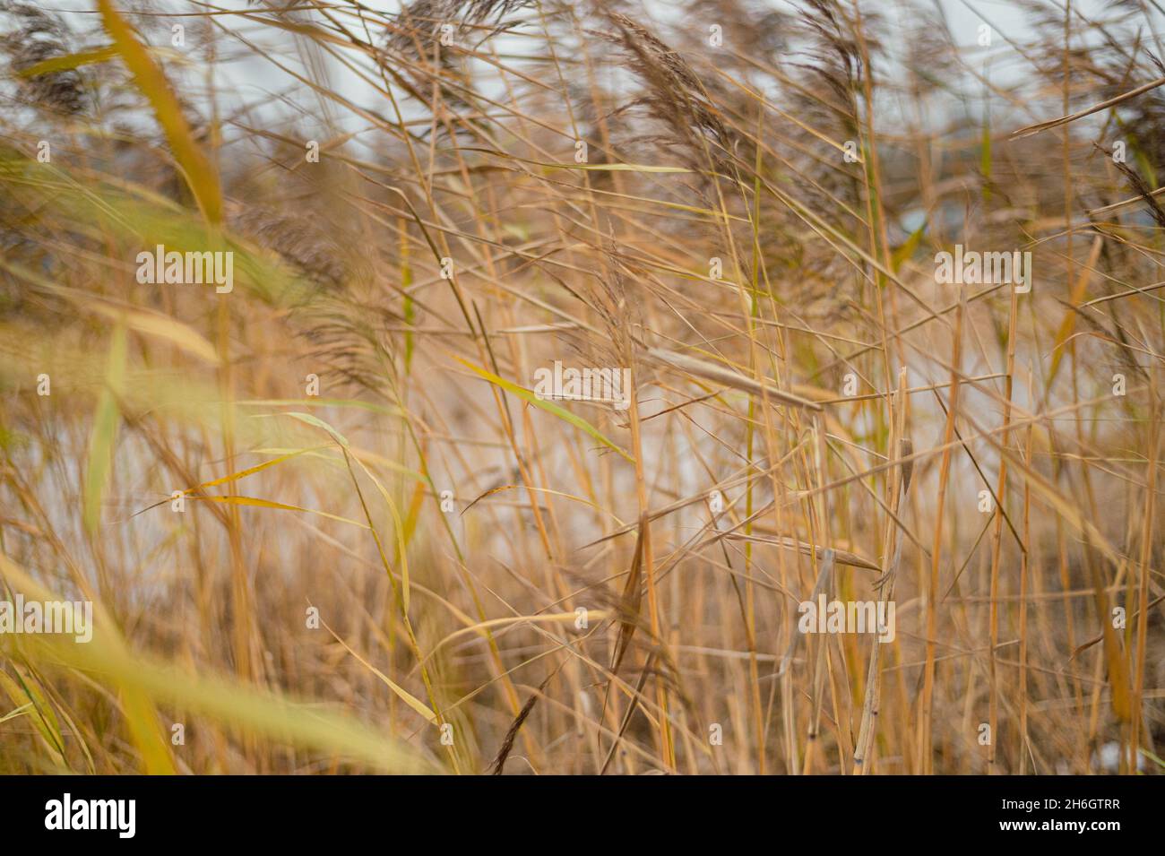Wind farm screensaver hi-res stock photography and images - Alamy