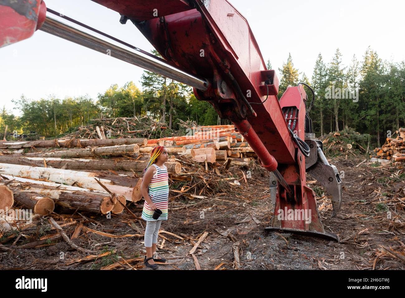 Girl with rainbow braids and dress stands on a logging site under the ...