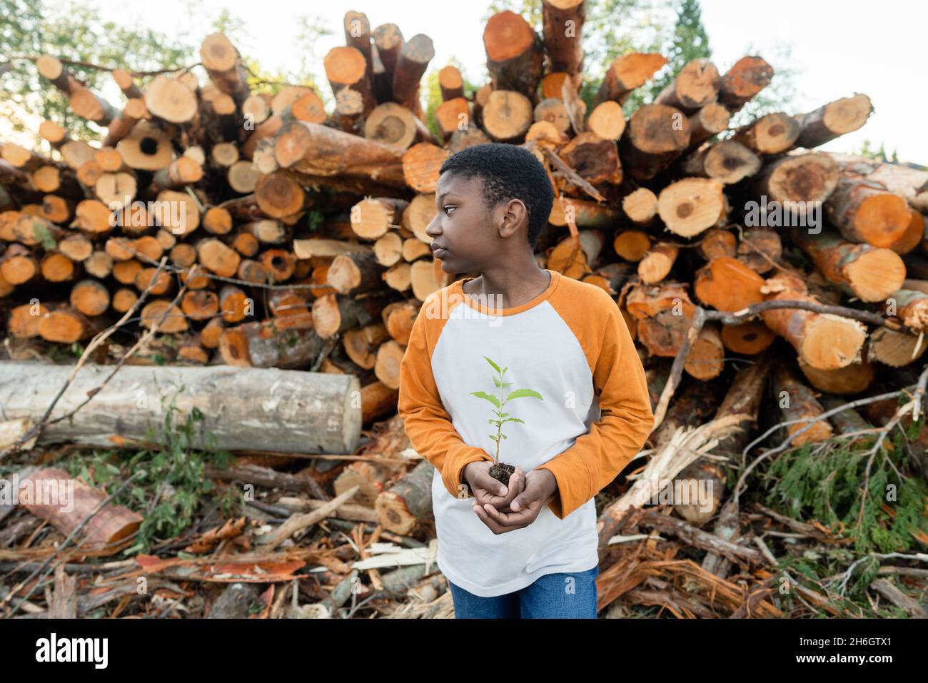 Young black boy stands in front of a pile of logs holding a small tree ...
