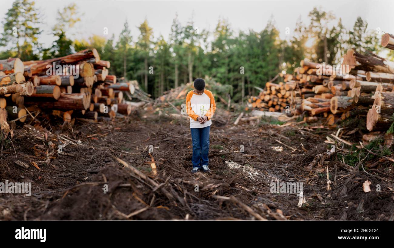 Young black boy stands alone on logging site surrounded by stacked logs ...