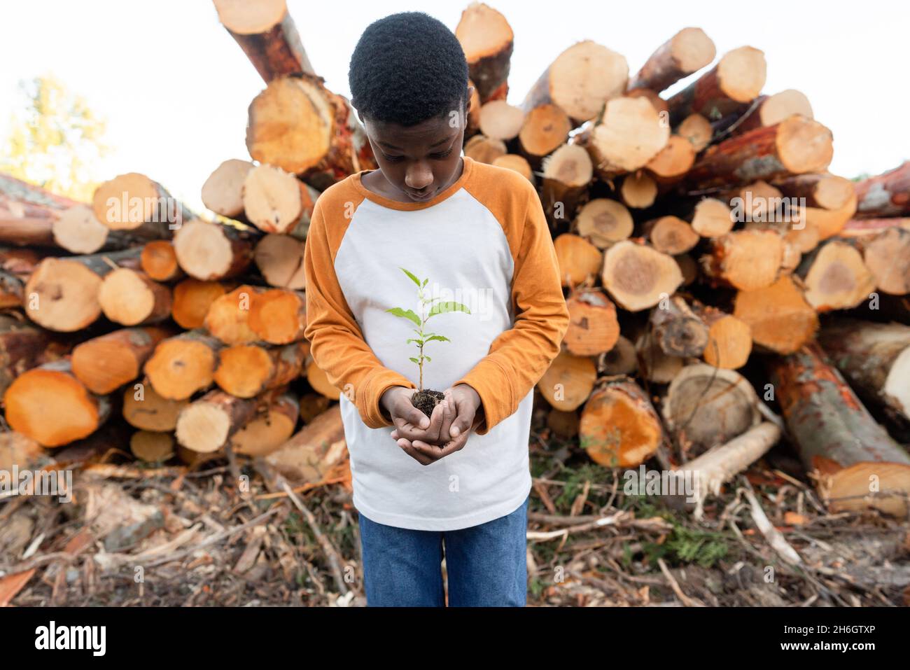 Young black boy stands in front of a pile of logs holding a small tree ...