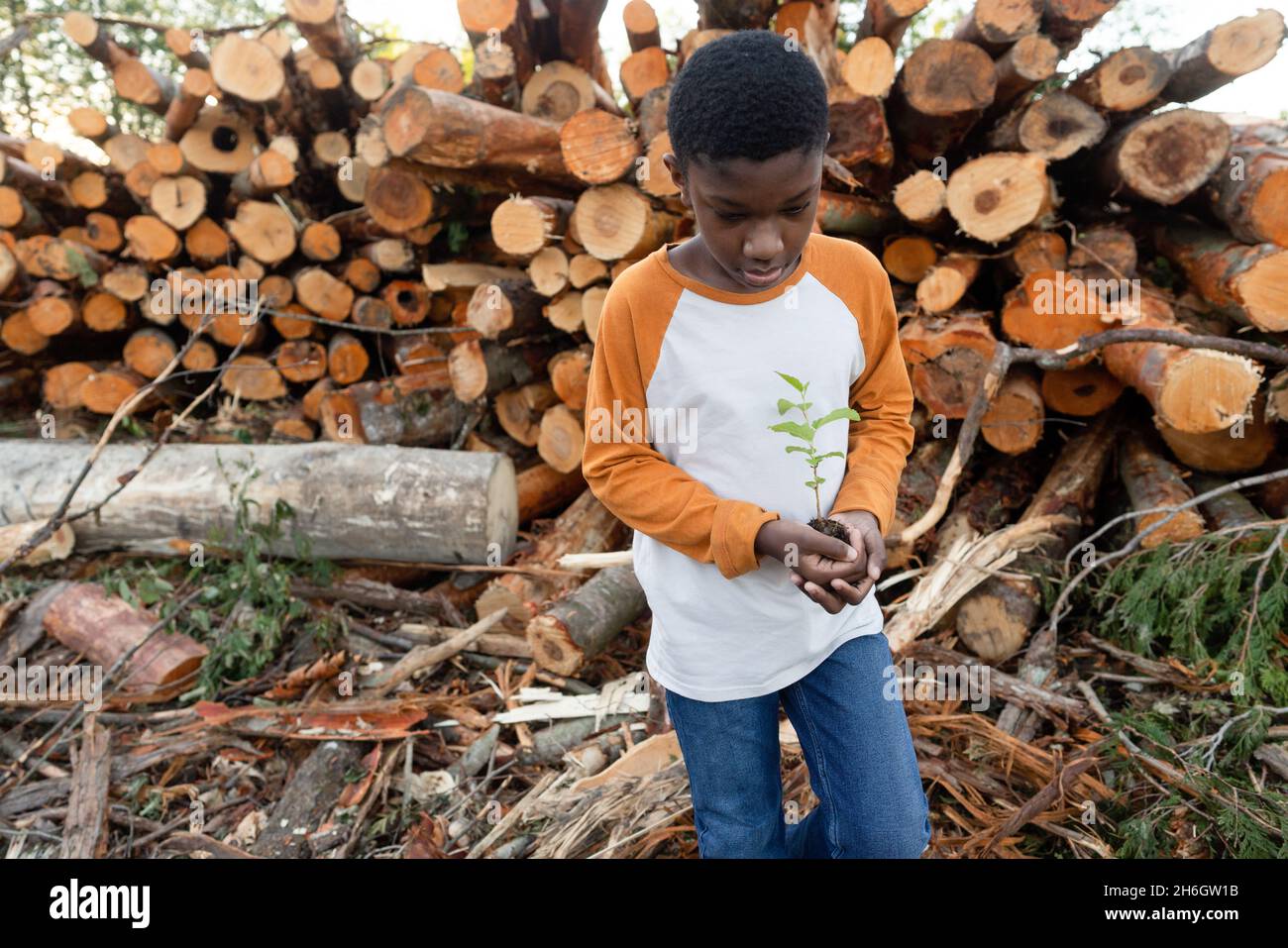 Young black boy stands in front of a pile of logs holding a small tree ...