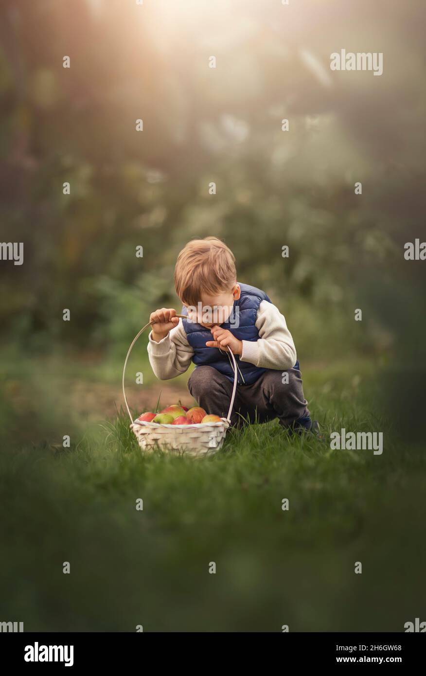 Looking inside trees hi-res stock photography and images - Alamy