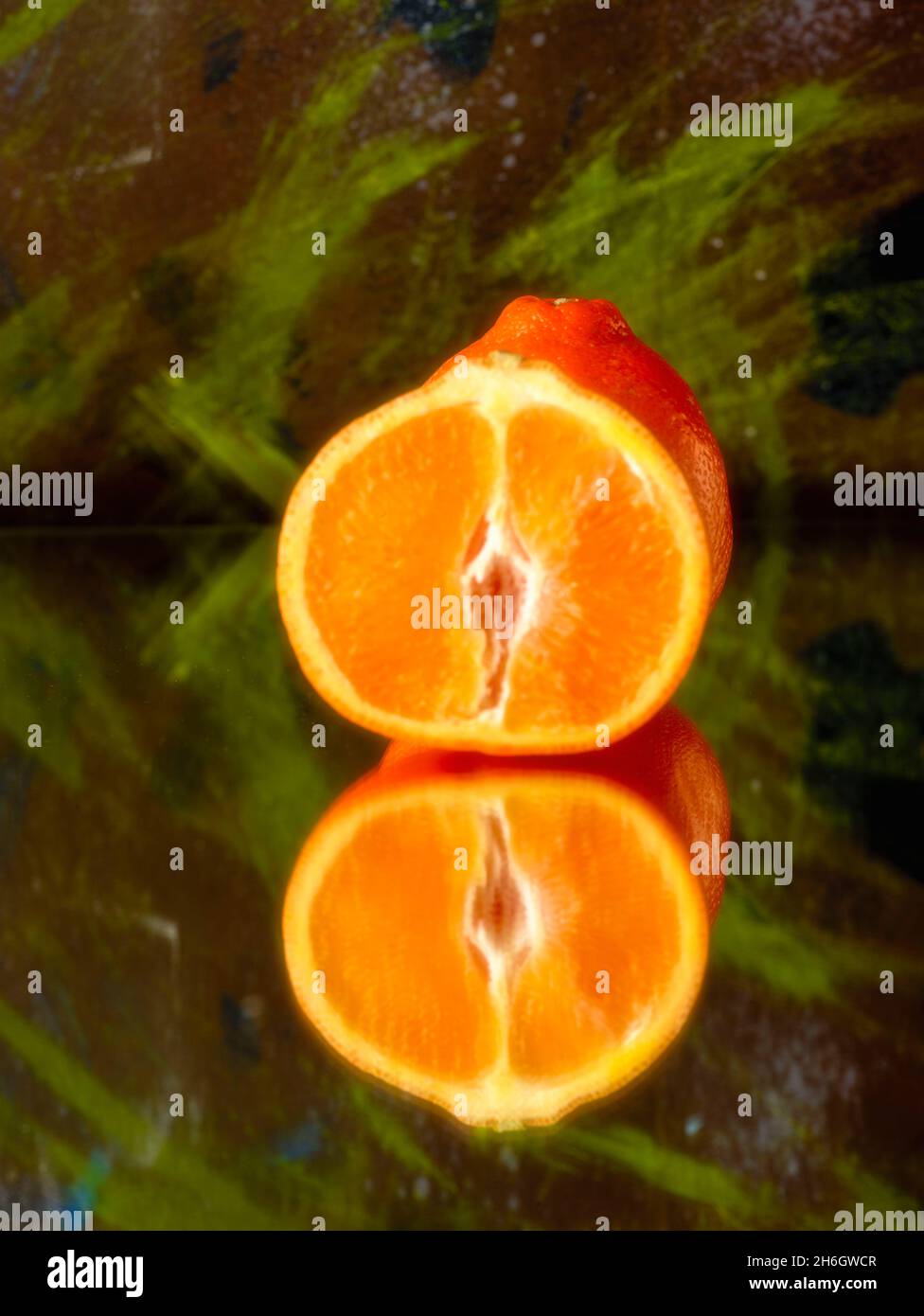 Super juicy Tangelo (Mineola Fruit) food still-life representation ...