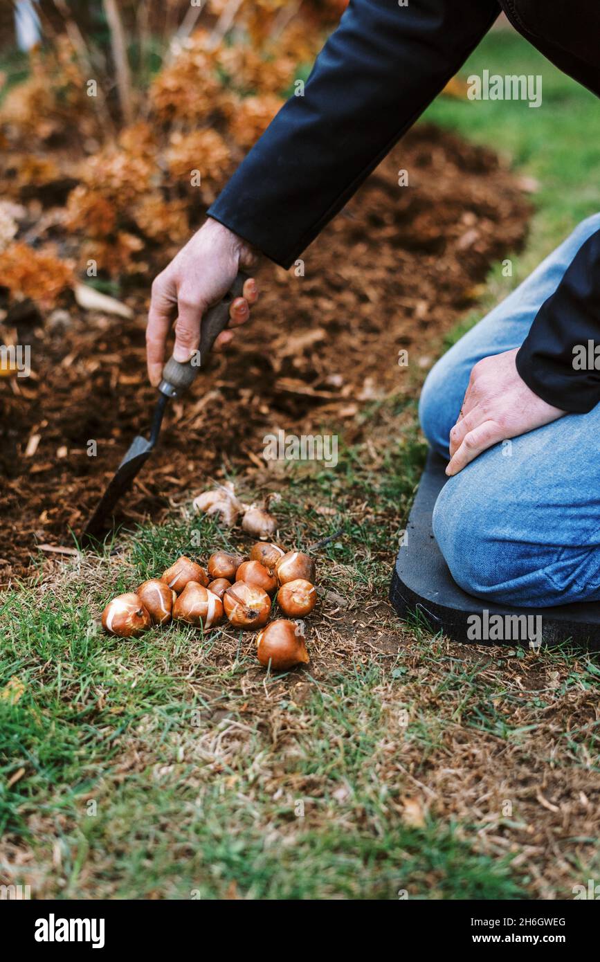 Old man planting flowers hi-res stock photography and images - Alamy