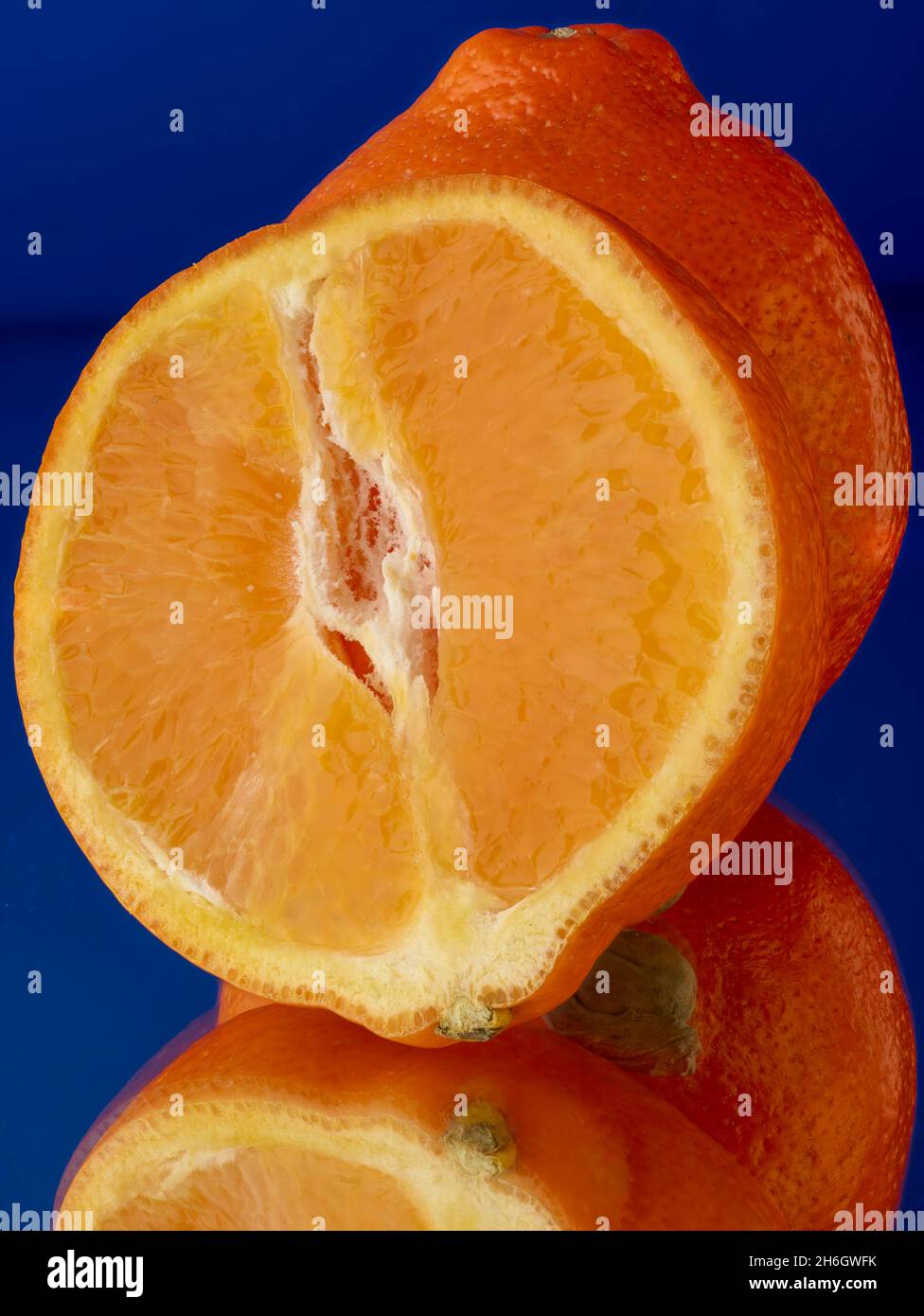 Super juicy Tangelo (Mineola Fruit) food still-life representation ...
