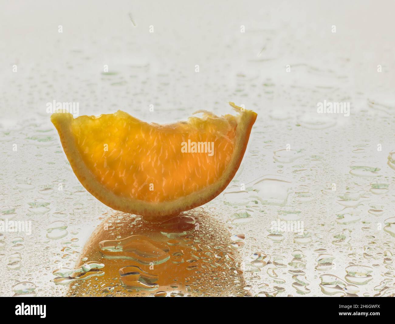 Super juicy Tangelo (Mineola Fruit) food still-life representation ...