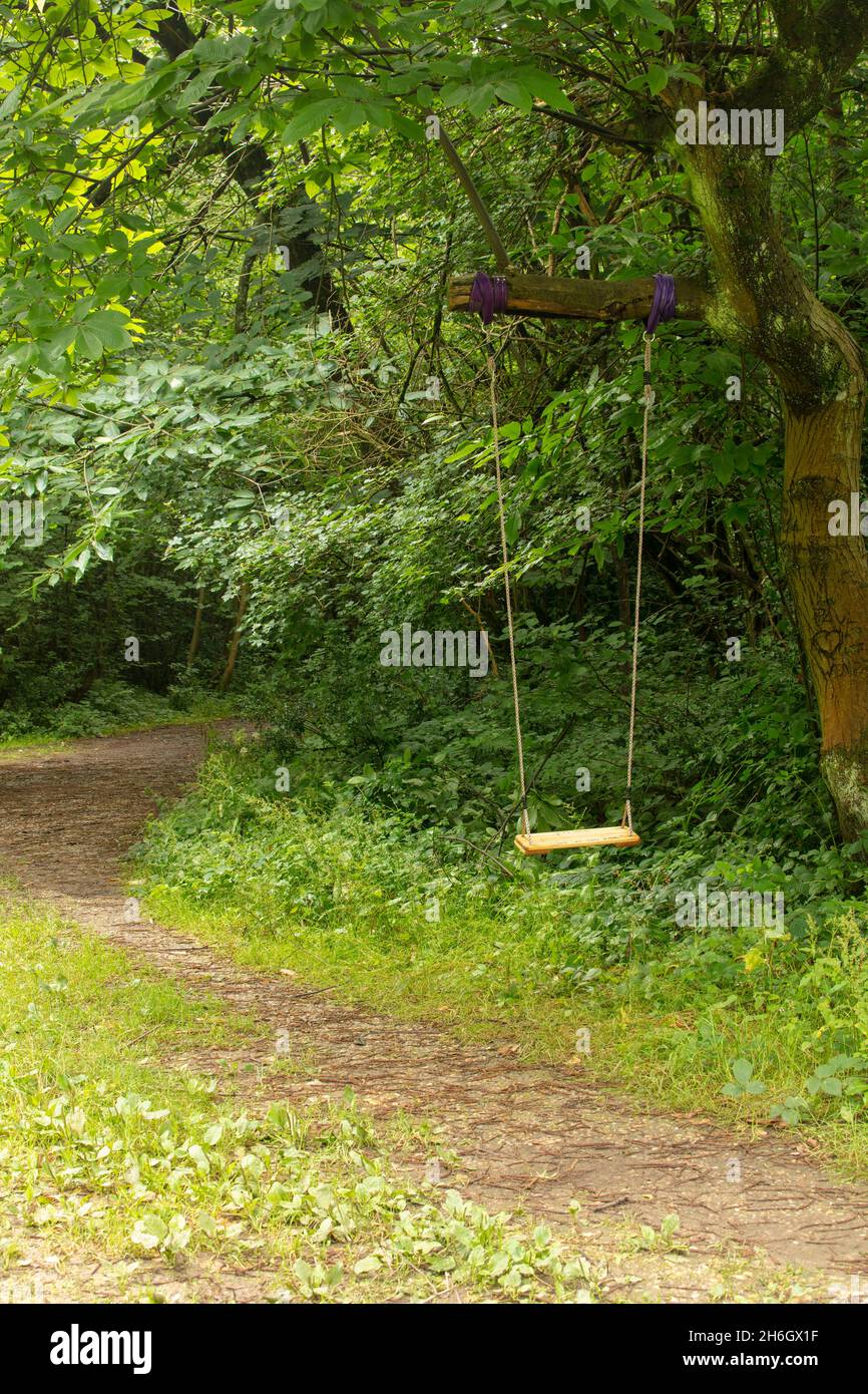 Fun Rope Swing Hanging From A Tree In A Verdant Woodland Setting Stock