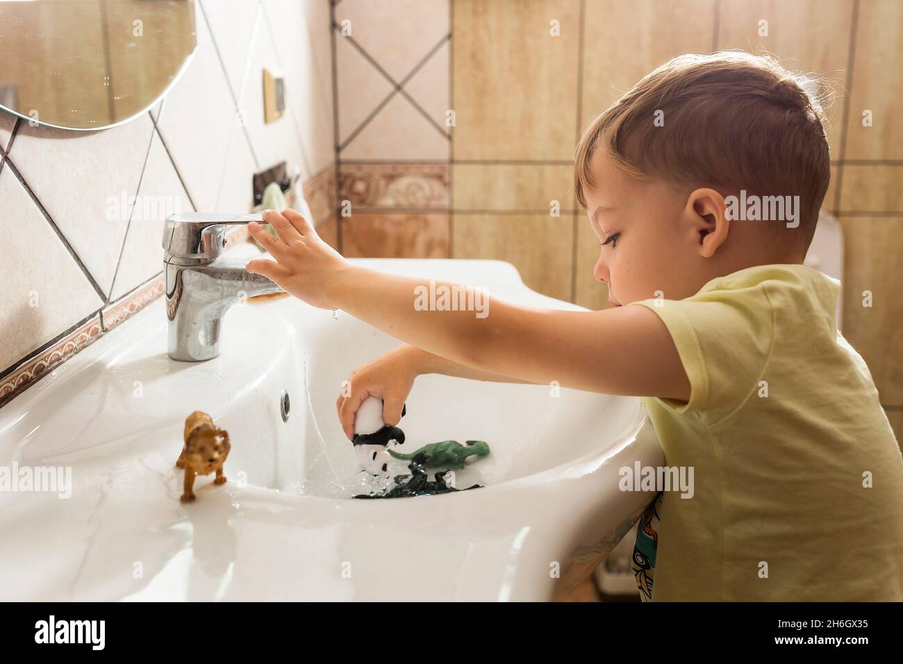 Male lion washing hi-res stock photography and images - Alamy