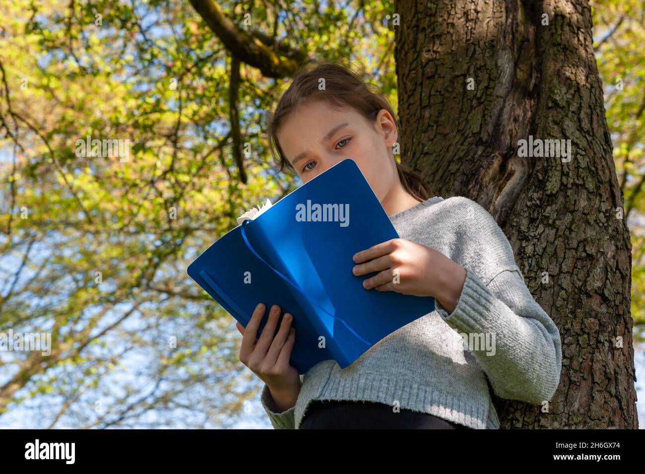 Young school age girl reading from blue textbook in park Stock Photo ...