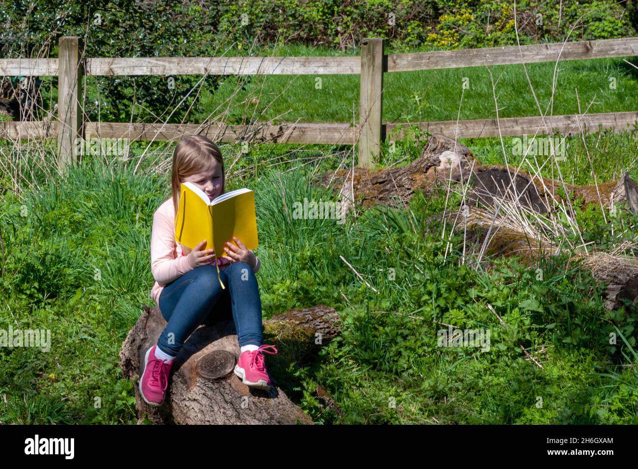 Little girl reading from yellow book while sitting on wooden tree trunk ...