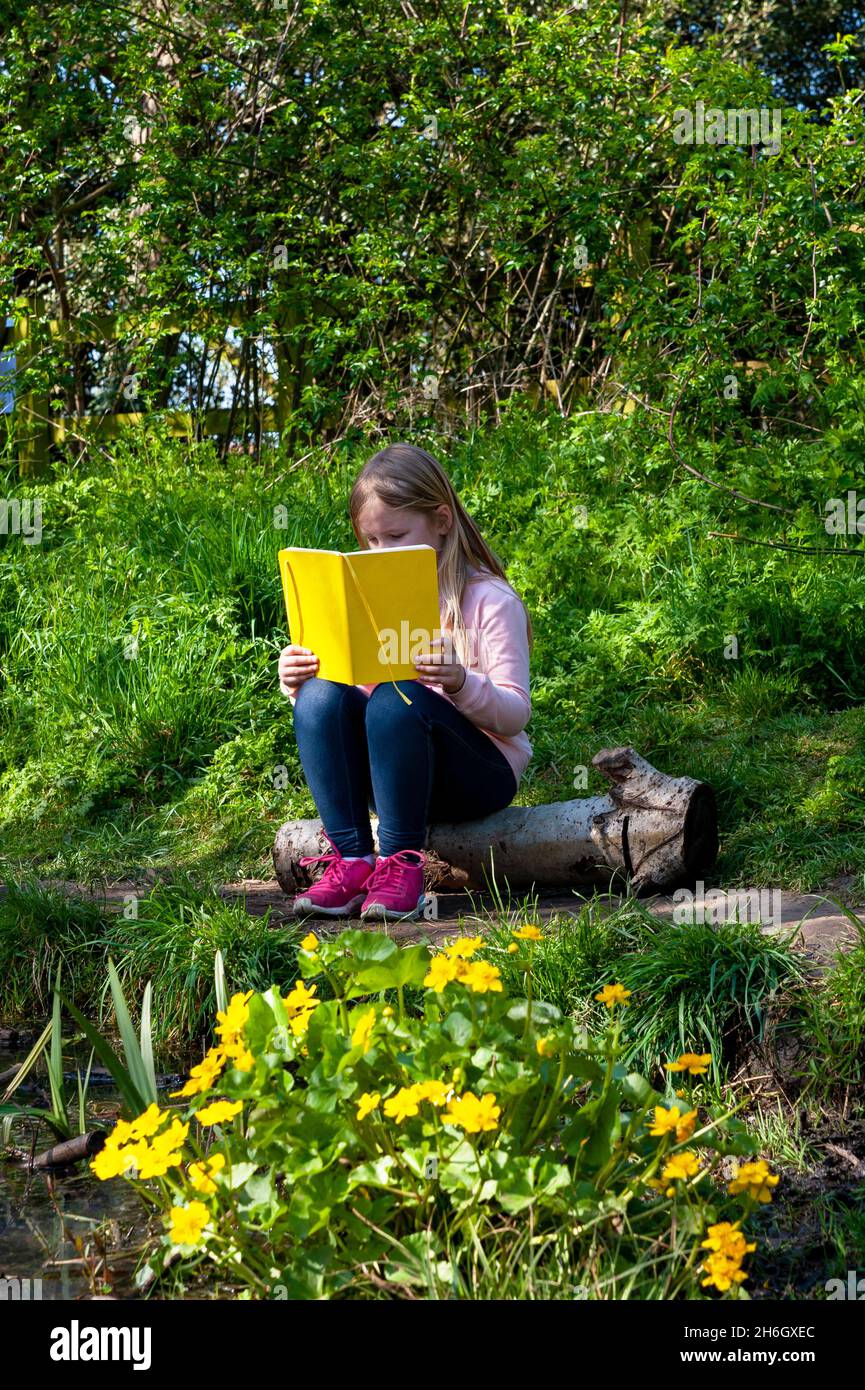 Little girl reading from yellow book while sitting on wooden tree trunk ...
