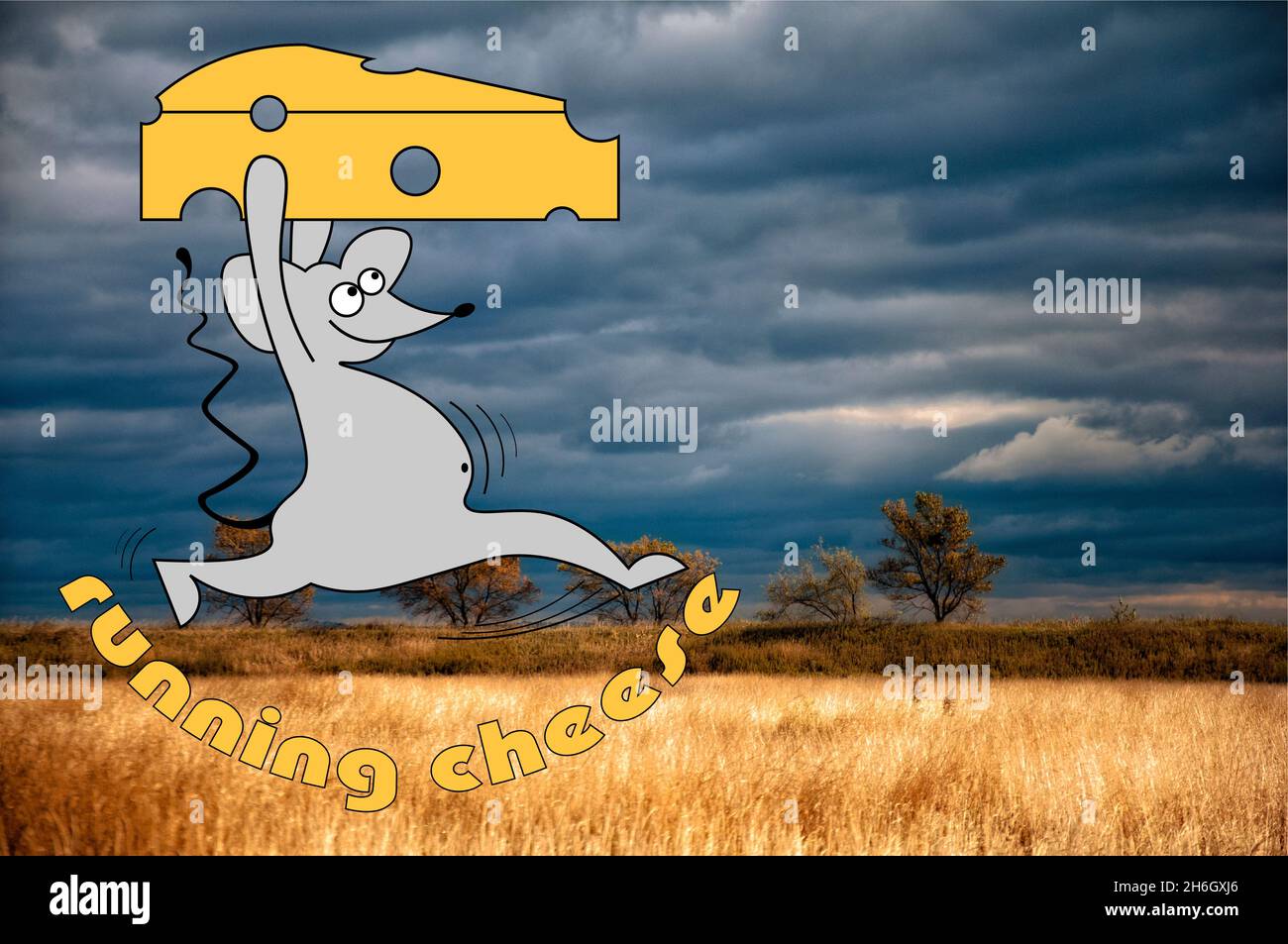 joyful mouse running with cheese against the background of cereals and ...