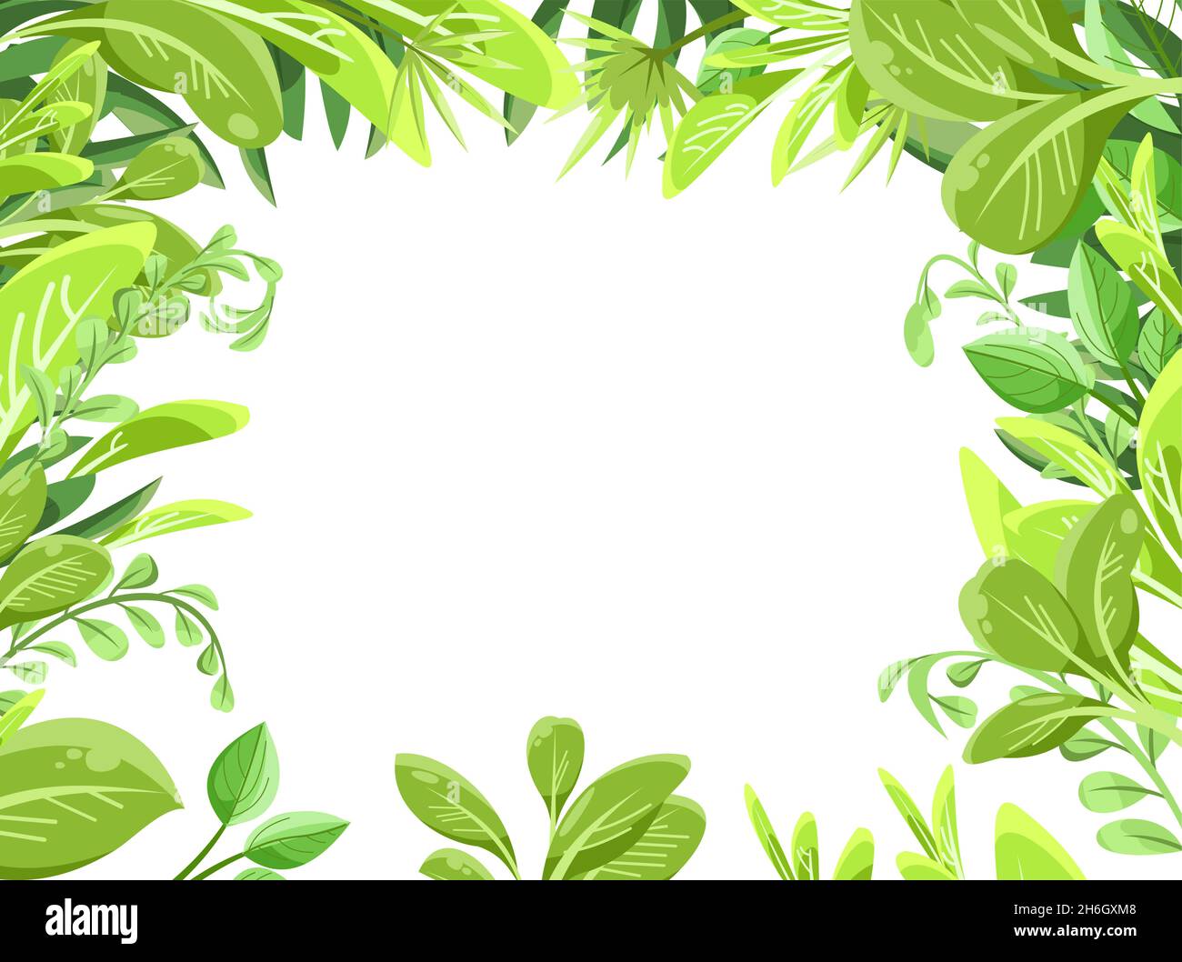 Light rainforest canopy. Jungle frame. Branches of tropical trees ...