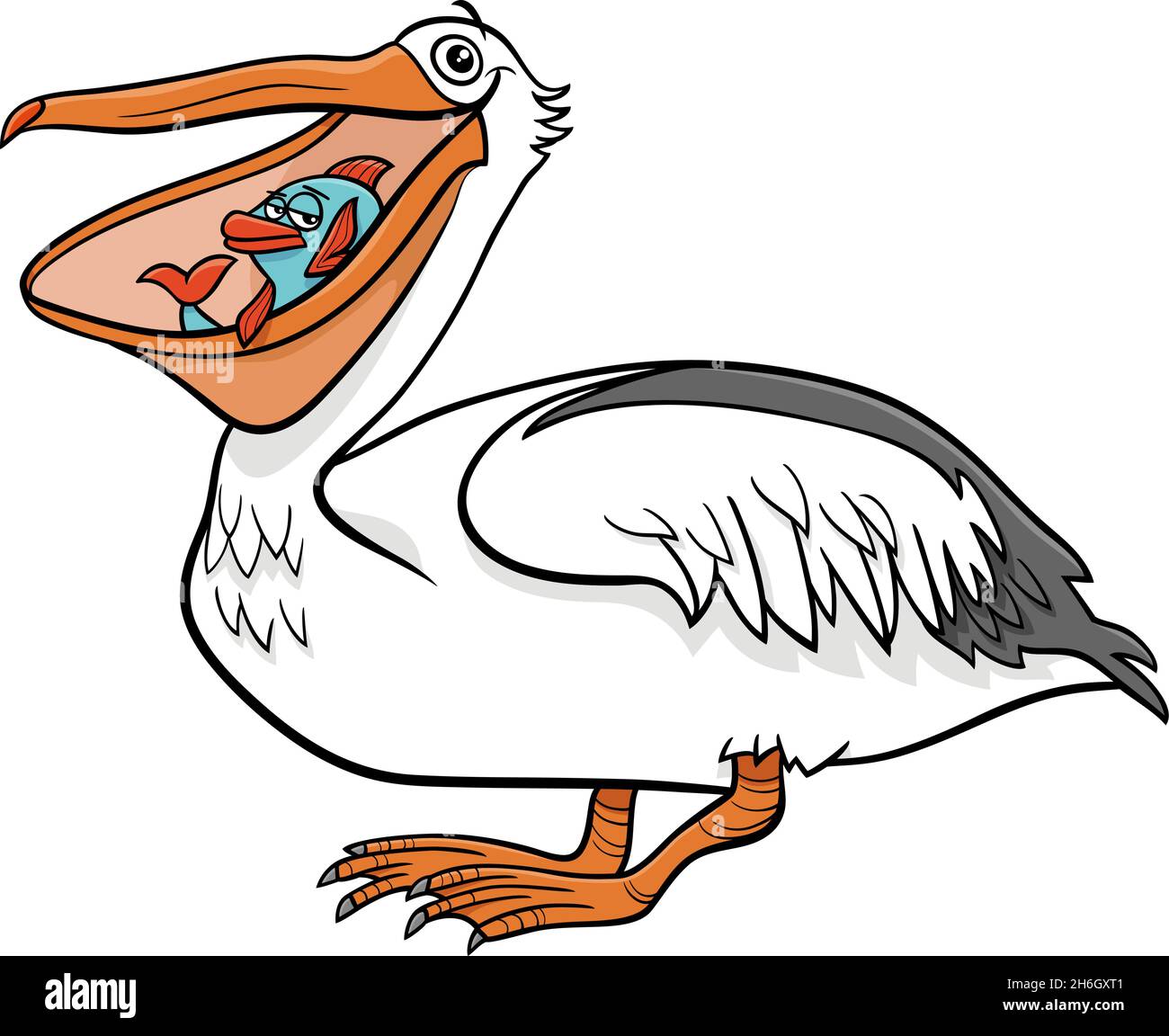 Cartoon illustration of funny pelican bird animal character with fish ...
