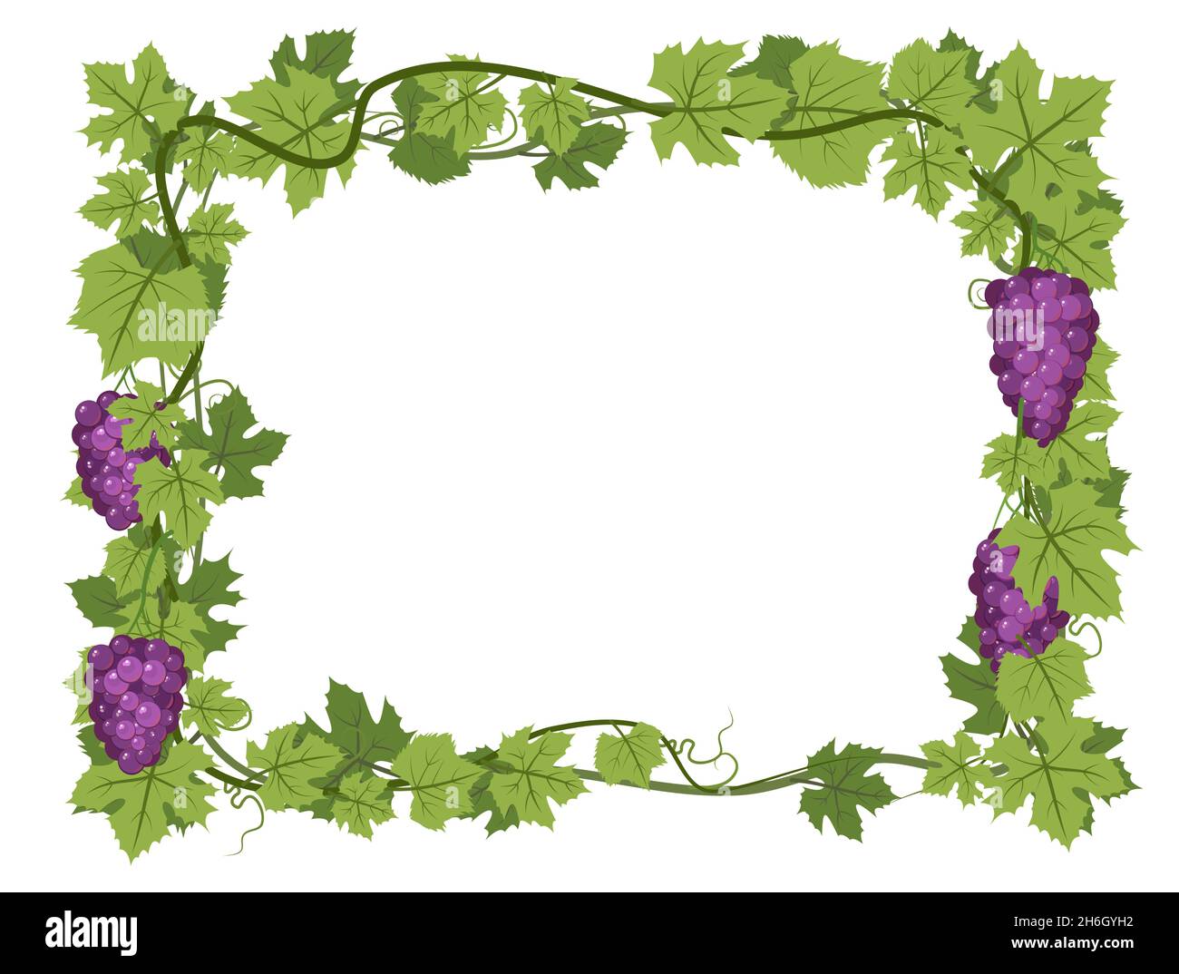 Rectangular Frame. Vine with foliage and bunches of grapes. Viticulture ...