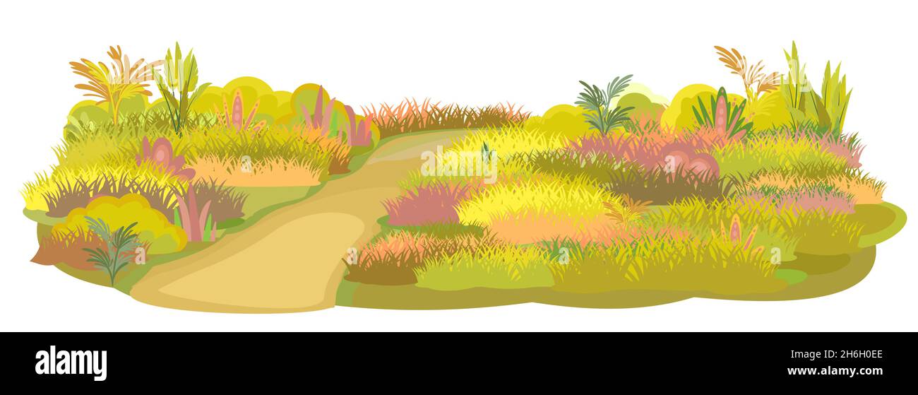 Road obliquely to meadow. Autumn grassy glade. Grass close up. Rural ...