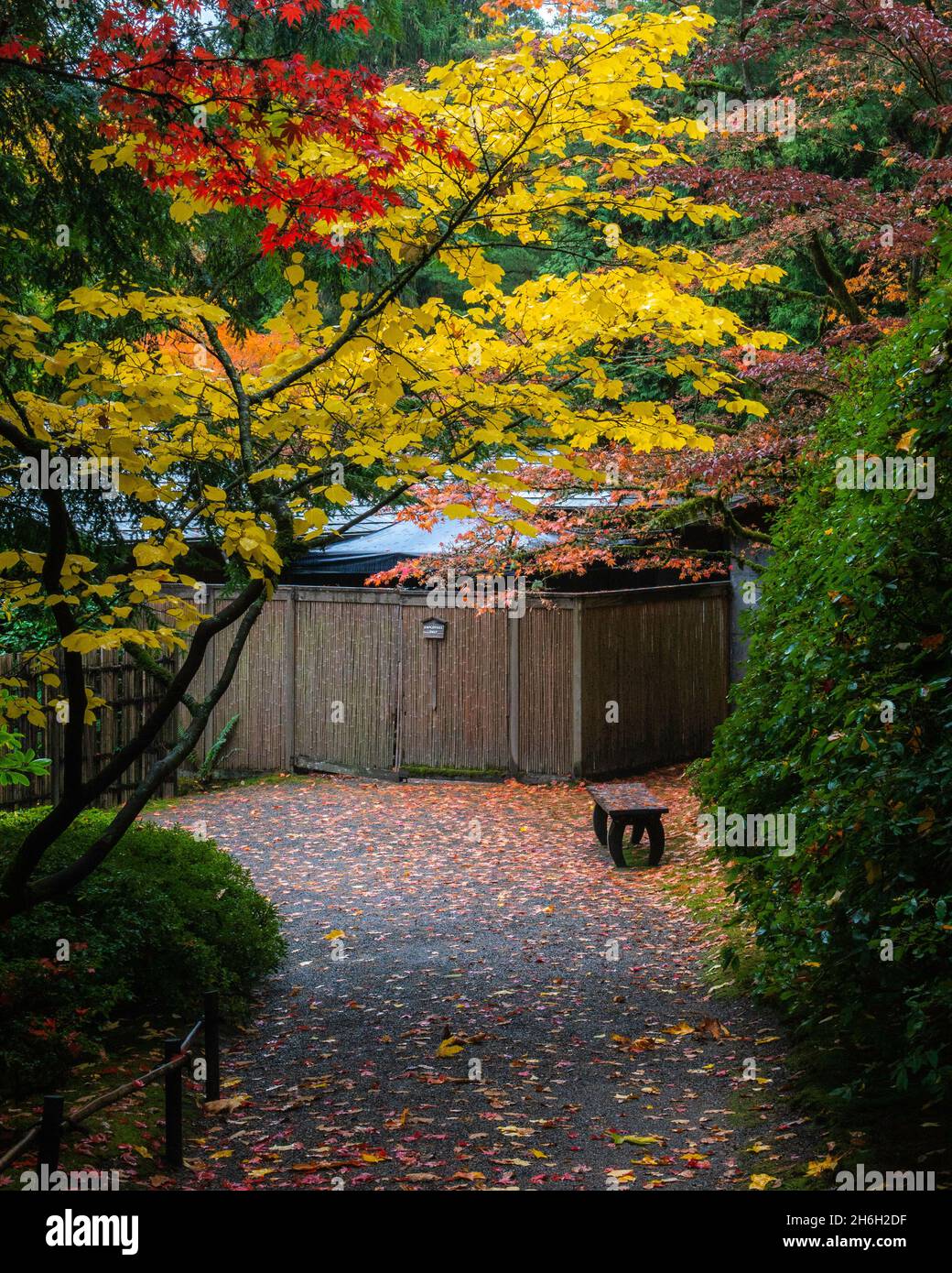 Walking rest hi-res stock photography and images - Alamy