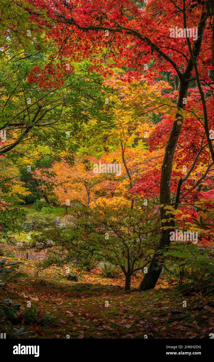 The Colorful Path Stock Photo - Alamy