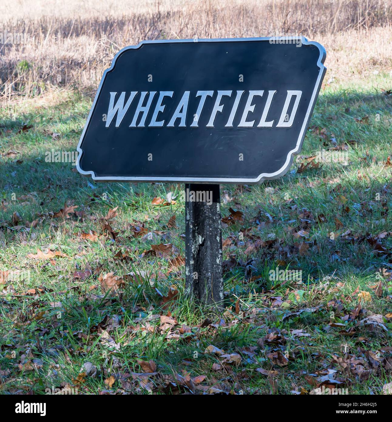 Wheatfield gettysburg hi-res stock photography and images - Alamy
