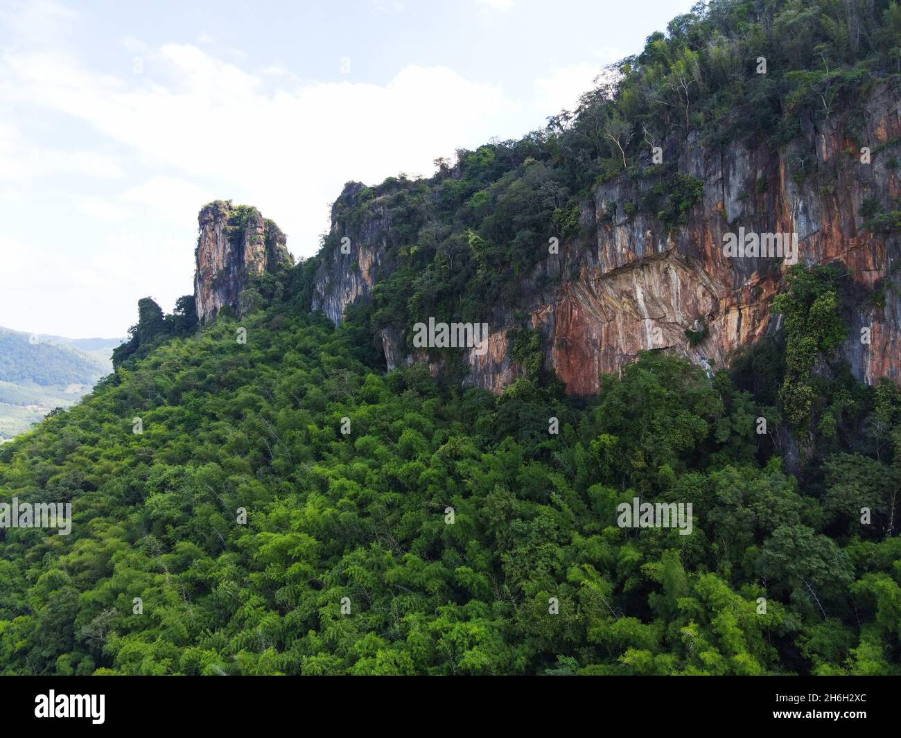 Bamboo forest on the mountain cliff with green tree, nature mountain ...