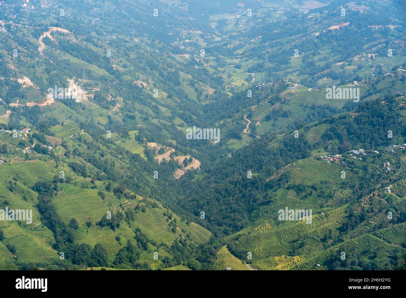 An aerial view of a green terraced valley with scattered trees Stock ...