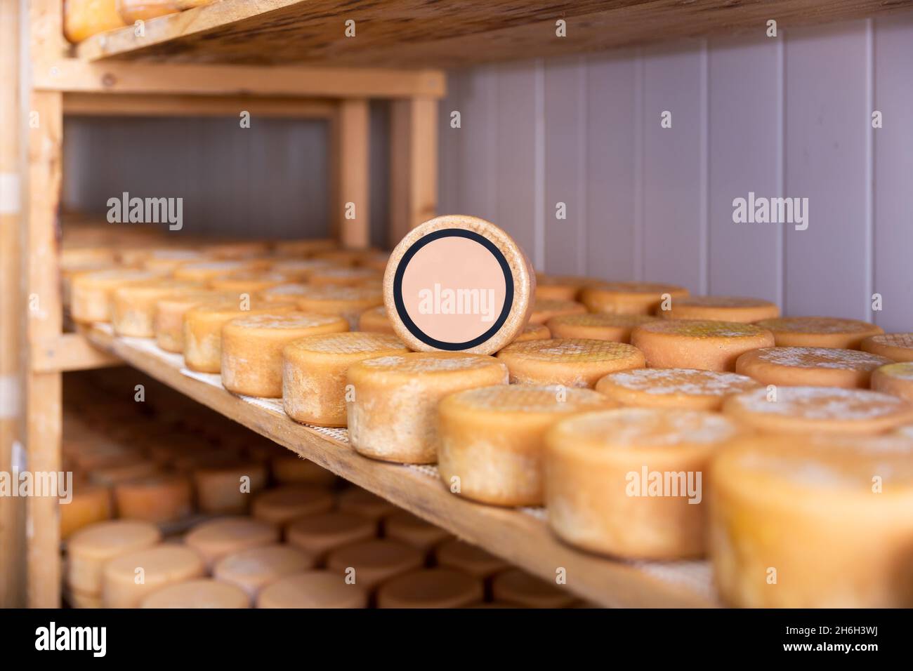Wheels of sheep cheese on shelves in ripening room with copy space ...