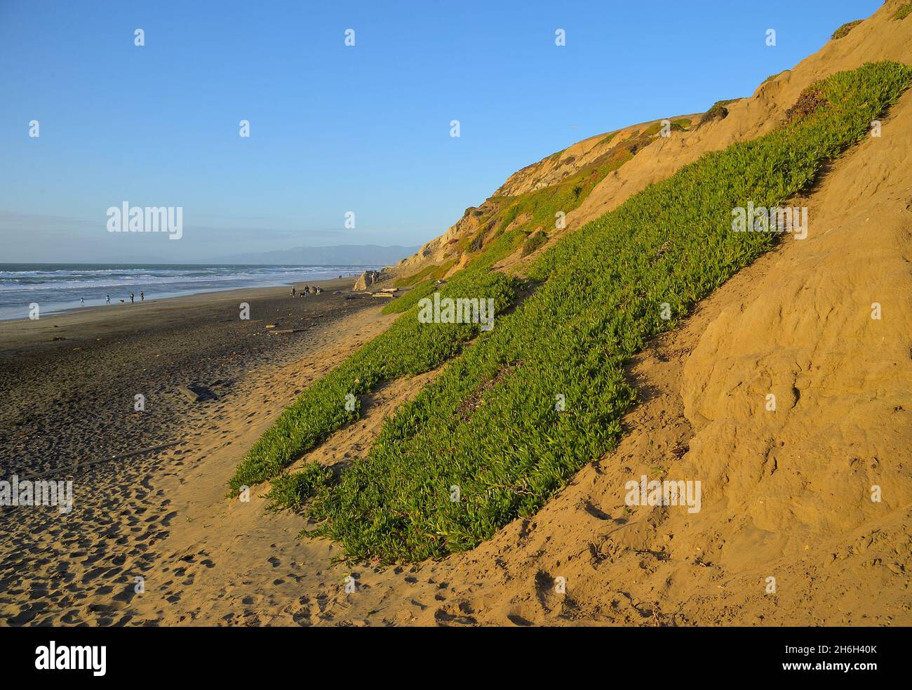 A winter afternoon at the beach, Fort Funston CA Stock Photo - Alamy