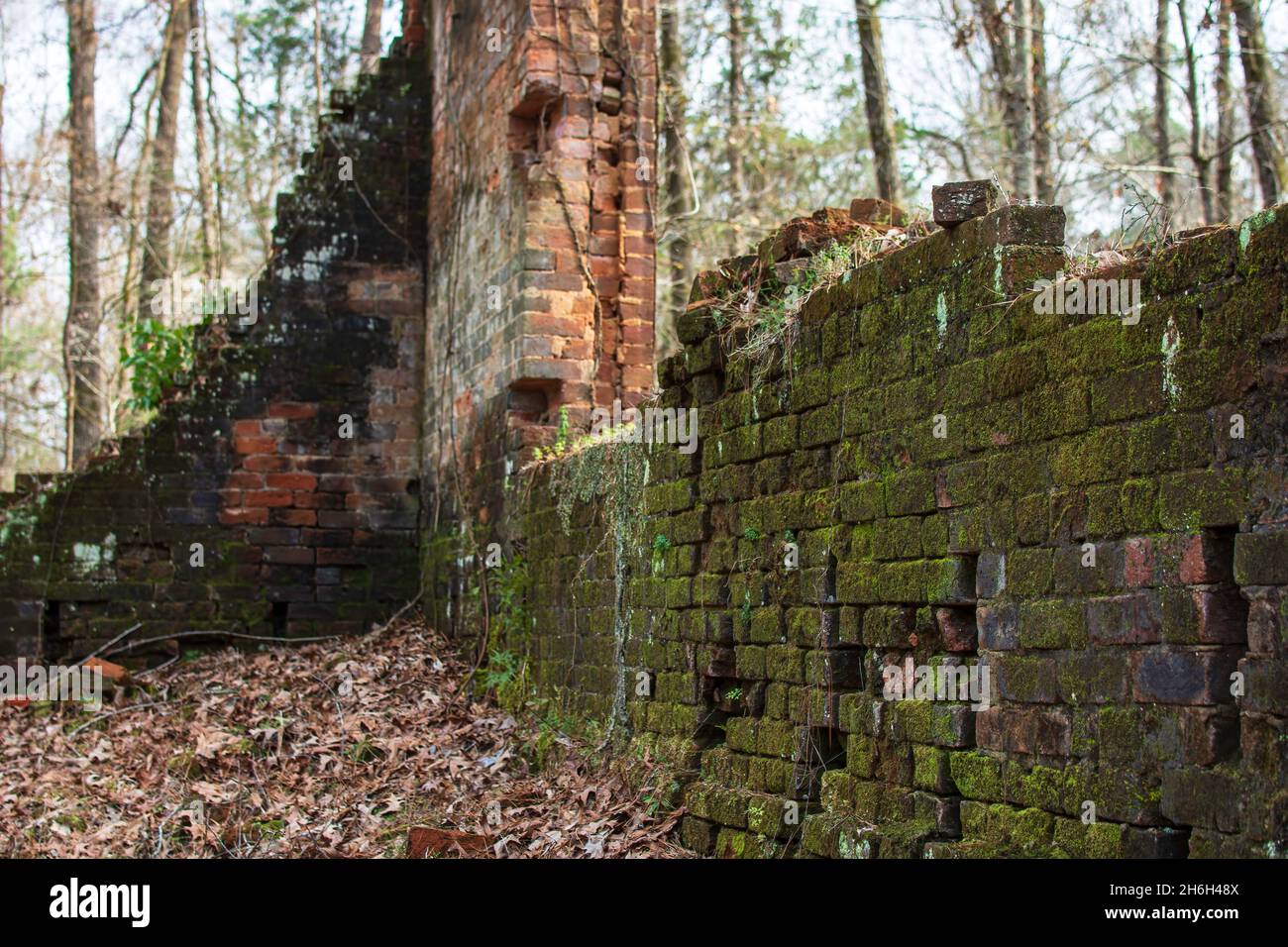 Orrville, Alabama, USA - Jan. 26, 2021: Ruins of the historic St. Paul ...