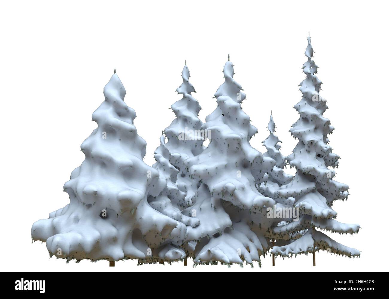 3D illustration winter fir trees in the snow isolated on white ...