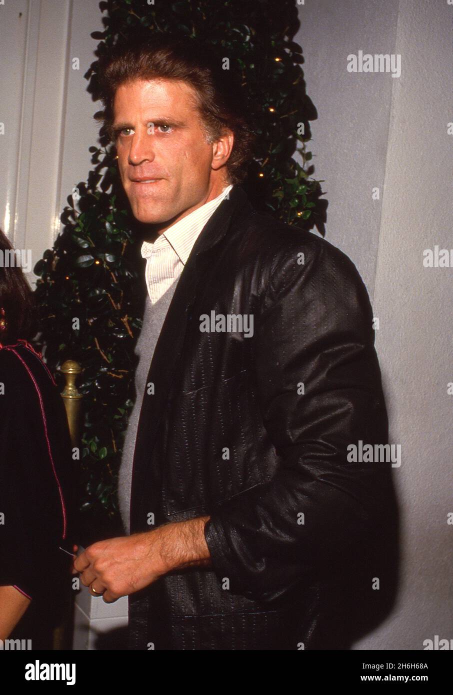Ted Danson Circa 1980's Credit: Ralph Dominguez/MediaPunch Stock Photo ...