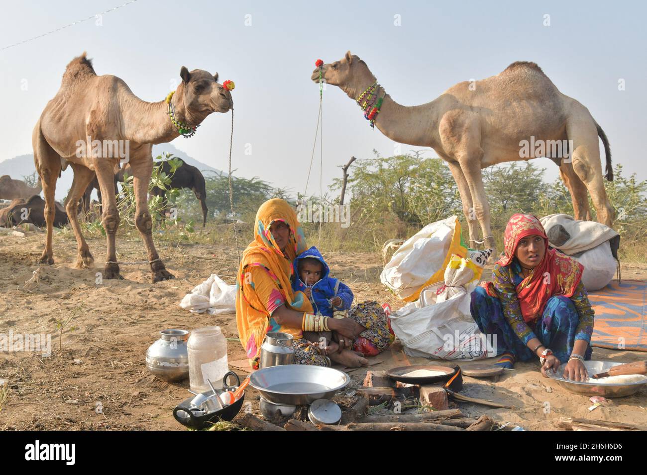 Pushkar, Rajasthan, India. 15th Nov, 2021. The Pushkar fair is one of ...