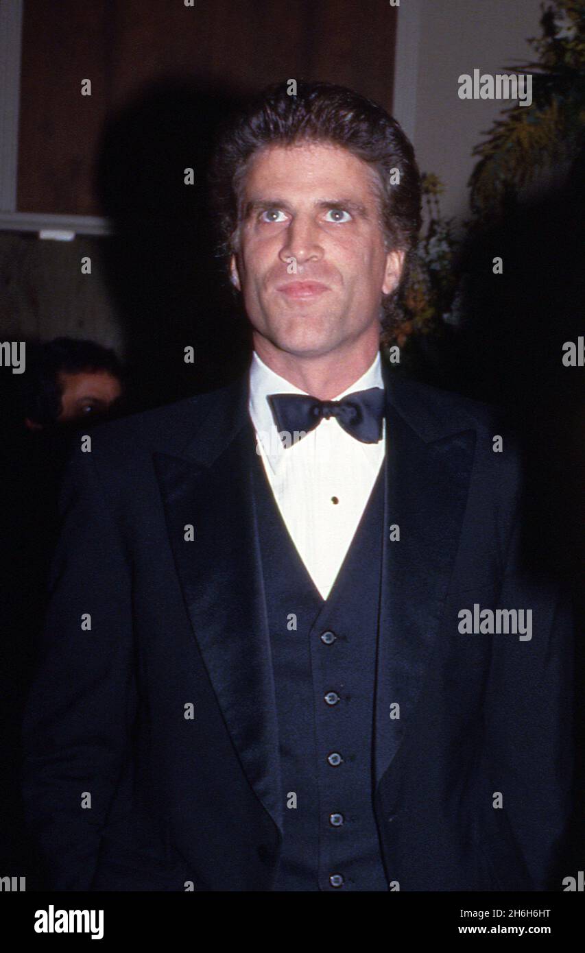 Ted Danson at the 23rd International Broadcasting Awards at Century ...