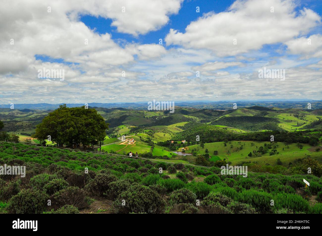 Rolling hills at Cunha a hill station at São Paulo estate, Brazil Stock ...