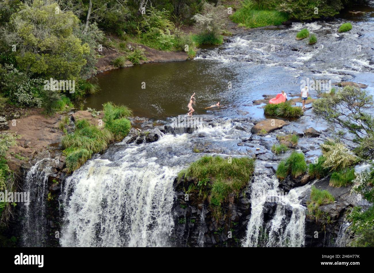 Dangar Falls on the Waterfall Way in NSW, Australia Stock Photo - Alamy