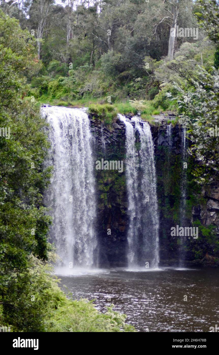 Dangar Falls on the Waterfall Way in NSW, Australia Stock Photo - Alamy